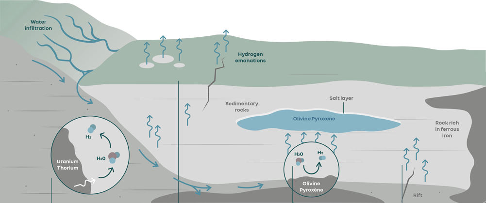 Hydrogen revolution is in the earth - Natural Hy